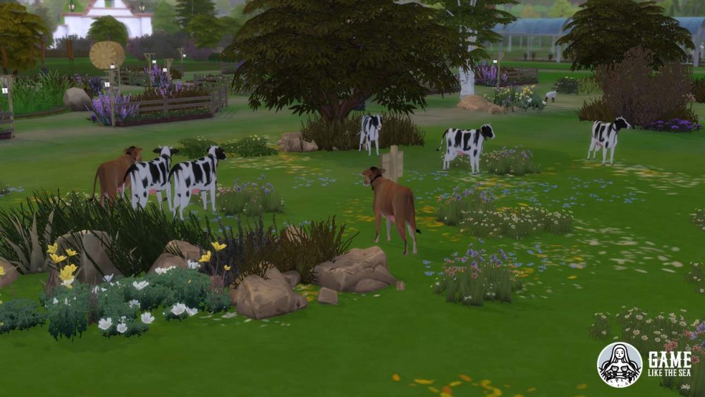 [แนะนำ MOD THESIMS 4] The Sims 4 Farmland Mod ทำฟาร์มปลูกผักเลี้ยงสัตว์ ...